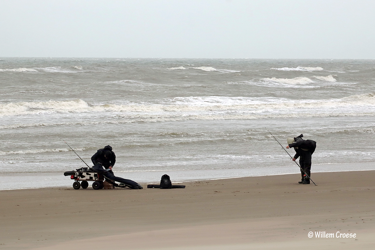 Wind, strand, zand – Willems Webstek