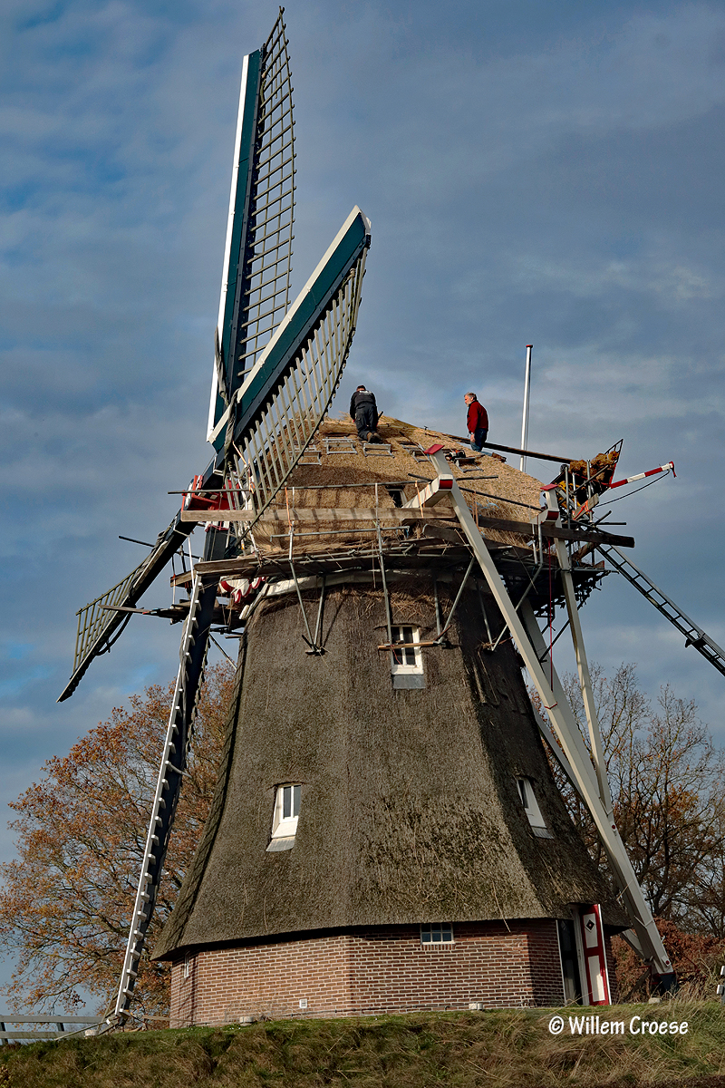 Jantina Hellingmolen – Willems Webstek